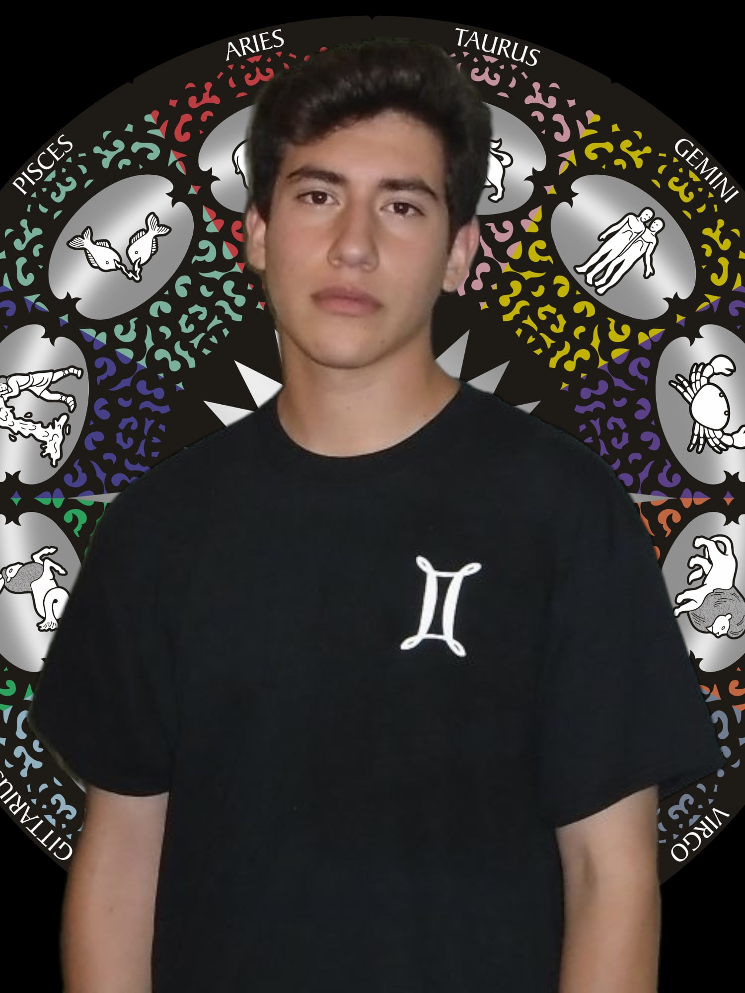 Gemini Infinity Symbol T-Shirt – XII Signs Zodiac Wheel